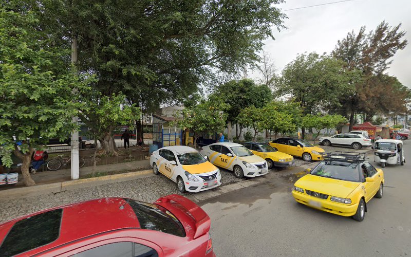 Sitio 107 Francisco Sarabia - Taxi en Guadalajara