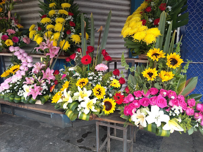 Floreria Azucena, Floristería en San Juan Bautista Tuxtepec, Oaxaca