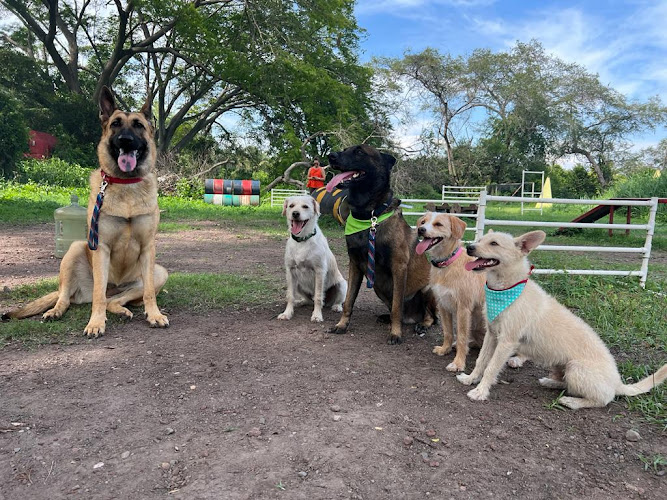 Centro De Adiestramiento Canino Colima Can
