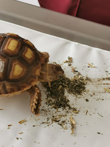 Exotic Pet Medical Center