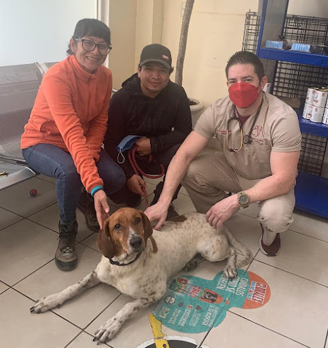 Csa Centro De Salud Animal